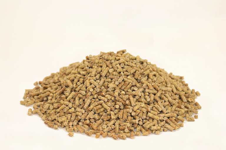 Futter für Kühe aus unserer WB Qualitätsfutterwerk GmbH